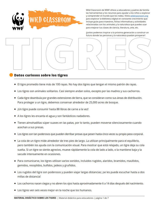 Tiger Toolkit Spanish | Educators Toolkits | WWF
