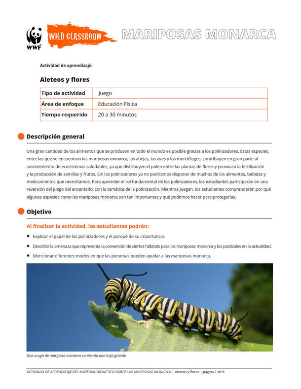 Monarch Toolkit Spanish | Educators Toolkits | WWF