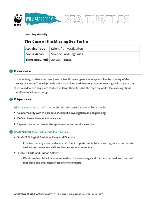 Sea Turtle Toolkit | Educators Toolkits | WWF