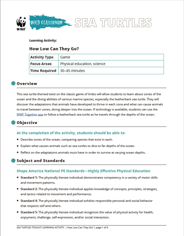 Sea Turtle Toolkit | Educators Toolkits | WWF