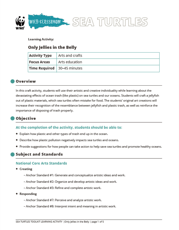 Sea Turtle Toolkit | Educators Toolkits | WWF