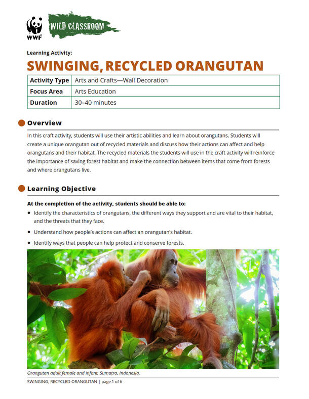 Wildlife Arts and Crafts | Educators Toolkits | WWF