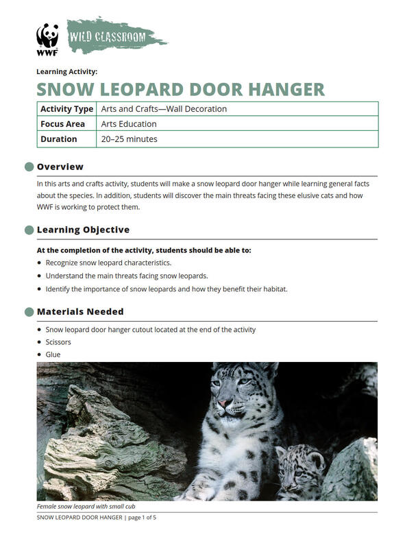 Wildlife Arts and Crafts | Educators Toolkits | WWF