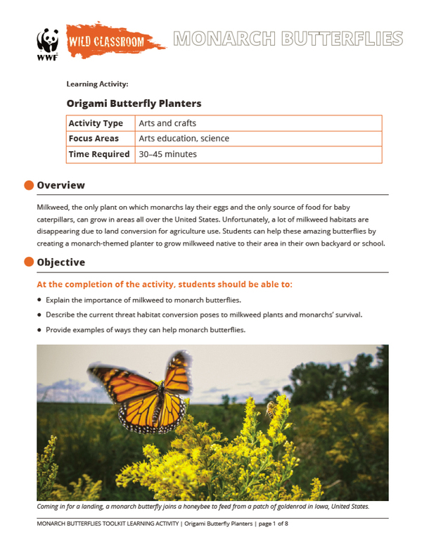 Wildlife Arts and Crafts | Educators Toolkits | WWF