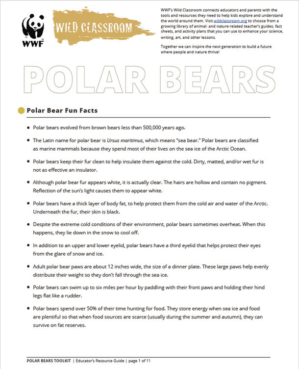 Polar Bear Toolkit | Educators Toolkits | WWF