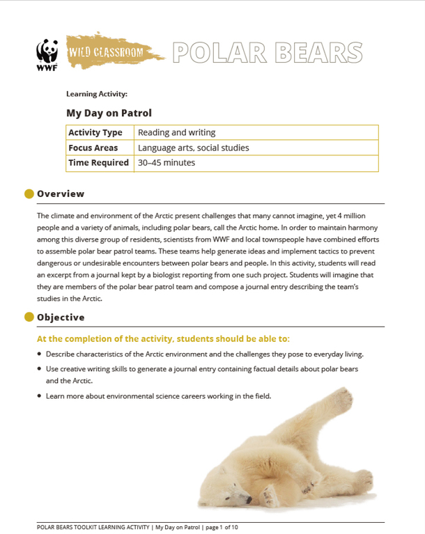 Polar Bear Toolkit | Educators Toolkits | WWF
