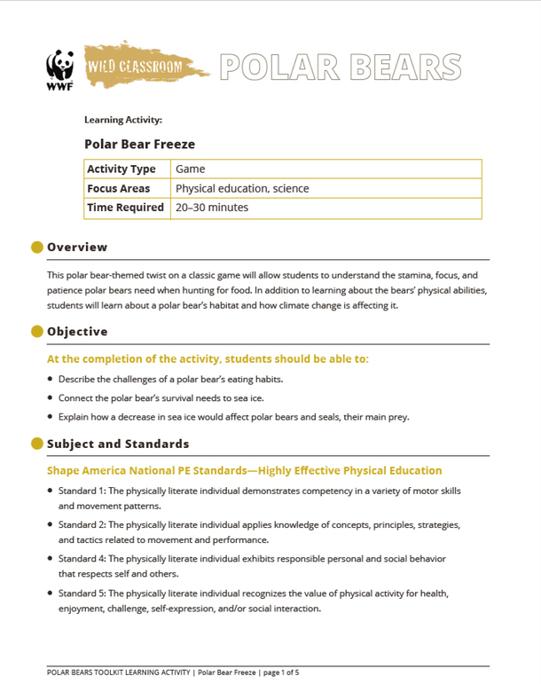 Polar Bear Toolkit | Educators Toolkits | WWF
