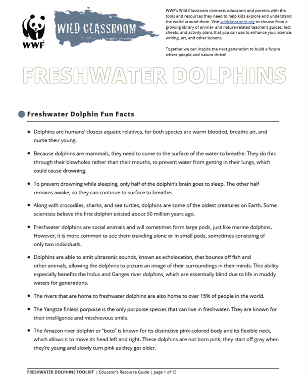 Dolphin Toolkit | Educators Toolkits | WWF