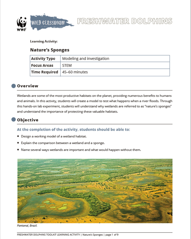 Dolphin Toolkit | Educators Toolkits | WWF