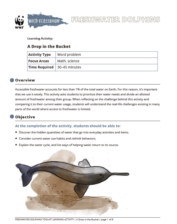 Dolphin Toolkit | Educators Toolkits | WWF