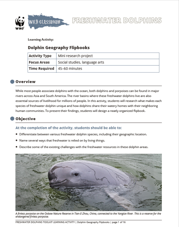 Dolphin Toolkit | Educators Toolkits | WWF