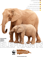 Elephant Toolkit | Educators Toolkits | WWF