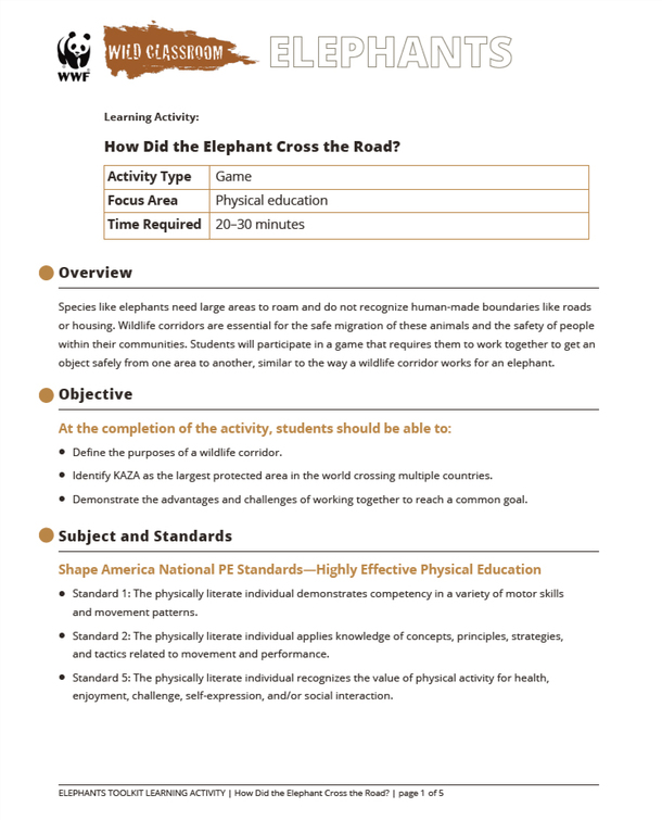 Elephant Toolkit | Educators Toolkits | WWF