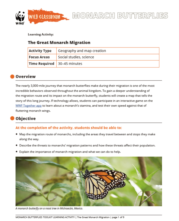 Monarch Toolkit | Educators Toolkits | WWF