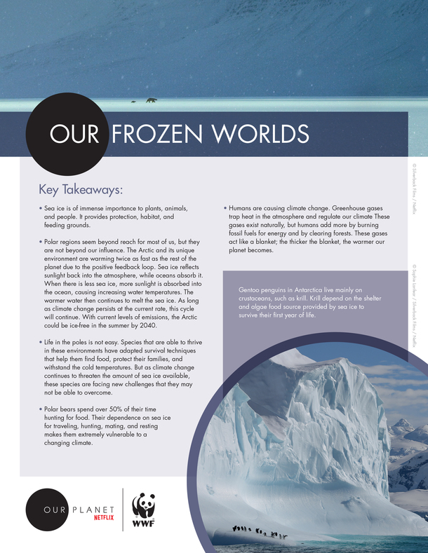 Our Planet Educator Guides | Educators Toolkits | WWF