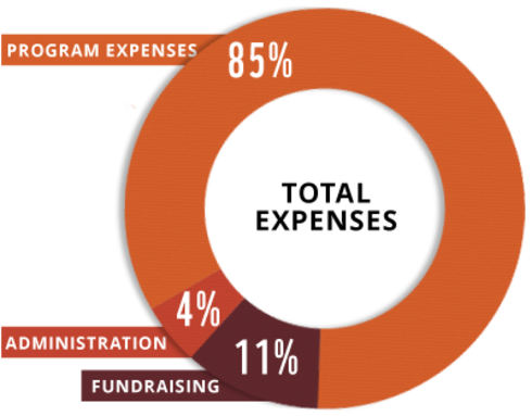 WWF - Endangered Species Conservation | World Wildlife Fund