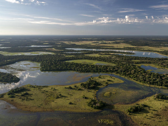 Pantanal | Places | WWF