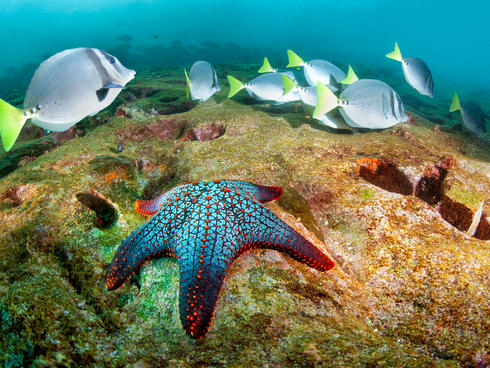 2018: A Year in Stunning Conservation Photography | Stories | WWF