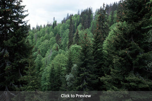 Our Planet Educator Guides | Educators Toolkits | WWF