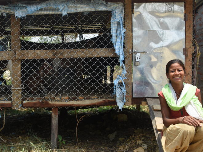 Predator-proof pens protect community livelihoods in Nepal - Maropost ...