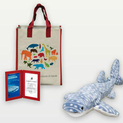 Shark | Species | WWF