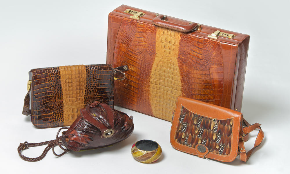 Buyer Beware | Pages | WWF