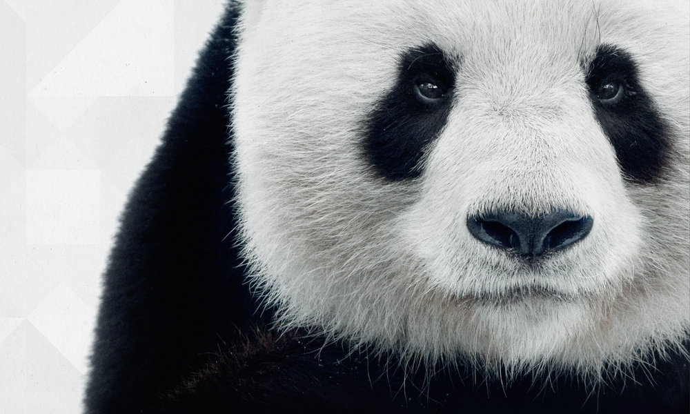 WWF Together featured species | Pages | WWF