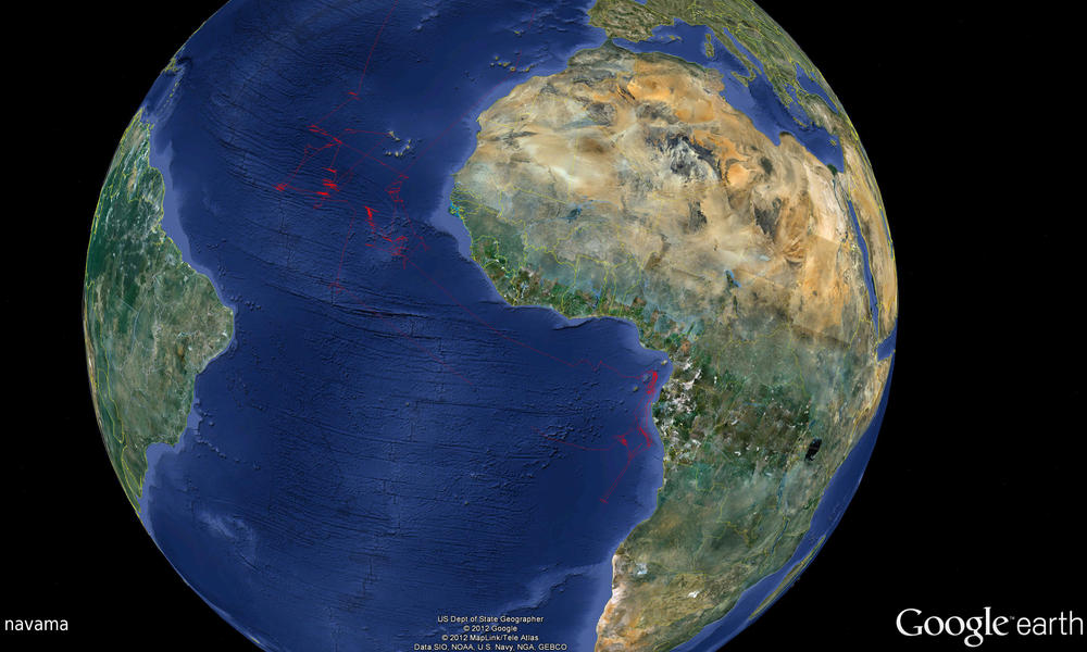 Technology Helps Fight Illegal Fishing | Stories | WWF