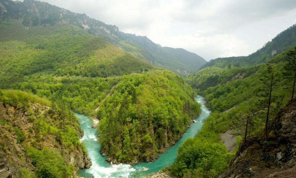 Croatia & Montenegro