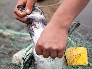 Photos & Videos | WWF