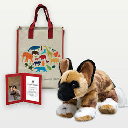 African Wild Dog | Species | WWF