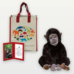 Bonobo | Species | WWF