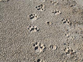 Photos & Videos | WWF