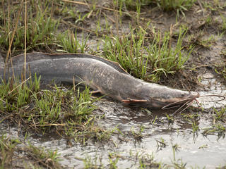 Photos & Videos | WWF