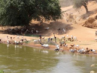 Photos & Videos | WWF