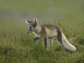 Photos & Videos | WWF